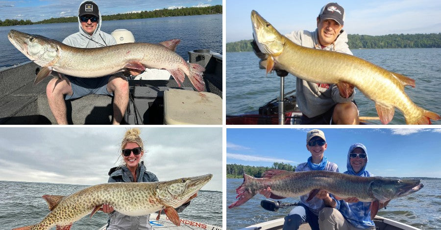 A Band Called Muskies - Predicting WINDows - Musky Attack – Musky Insider