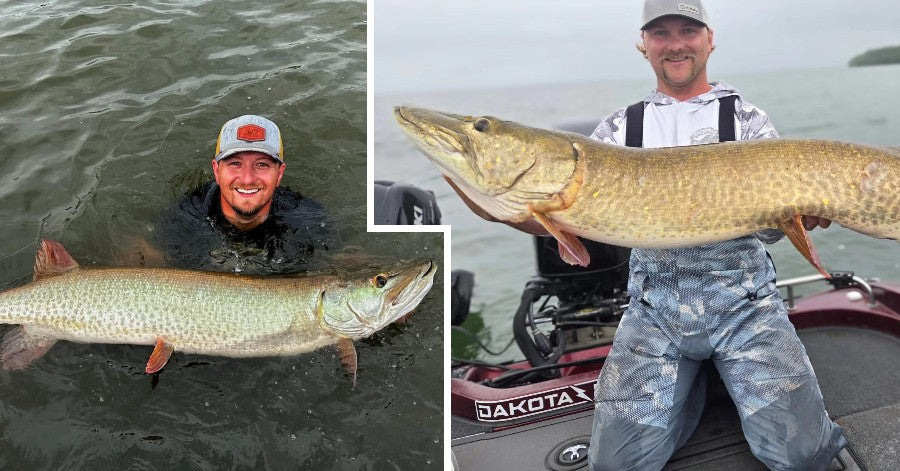 Cisco Breakdown – MN Tourney Beatdown – Big Fish Pics! – Musky Insider