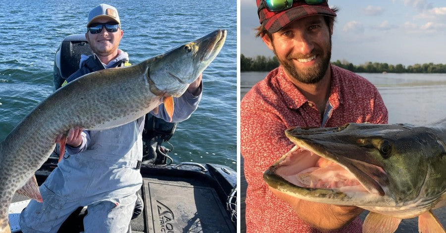 Musky Eye Science (cones & rods) – Release Tools – Hungry Esox GIFs ...