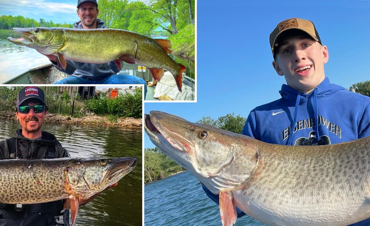 Musky Gear Gift Ideas – Mammoth 'skie Caught – Impressive River Fish ...
