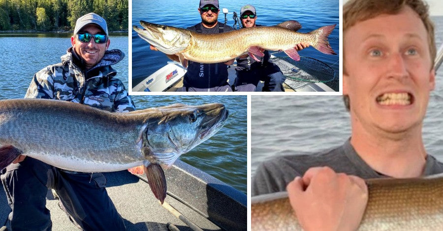 Overlooked Lures, Musky Memes & Art, Big Muskies that Look Tiny – Musky ...
