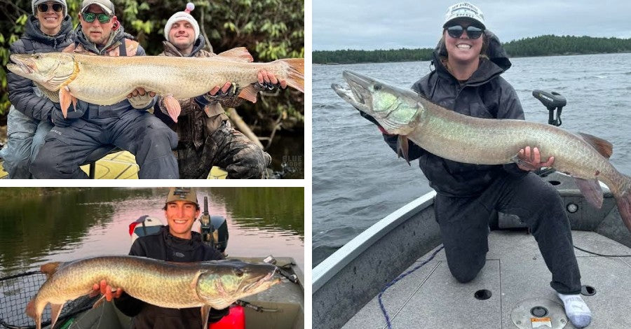 New Musky Gear Unveiled - Custom Color Baits - Monster Muskies – Musky ...