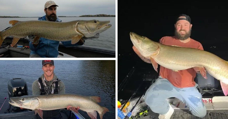 Overlooked Fall Patterns - 13 Year Old Wins Tourney - Muskies For The ...