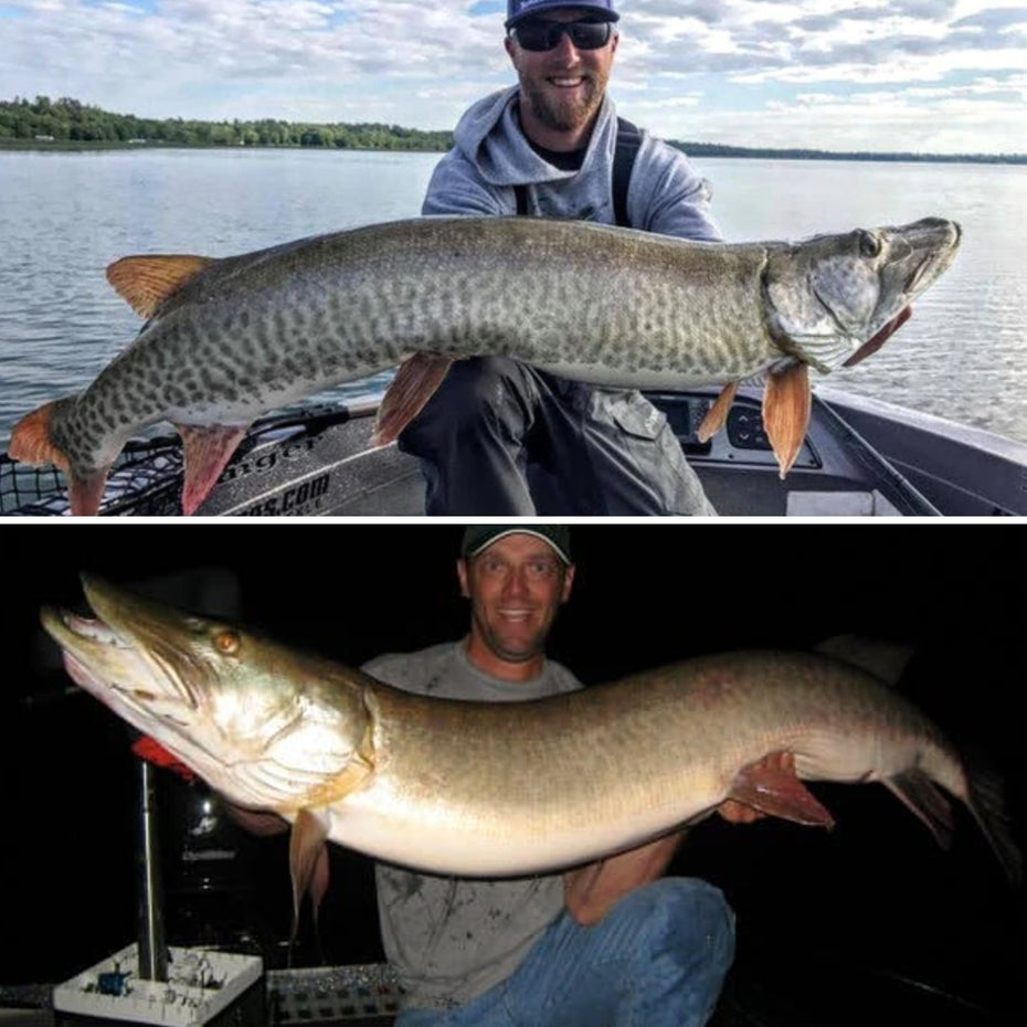 Virtual Musky Classes – Musky Insider