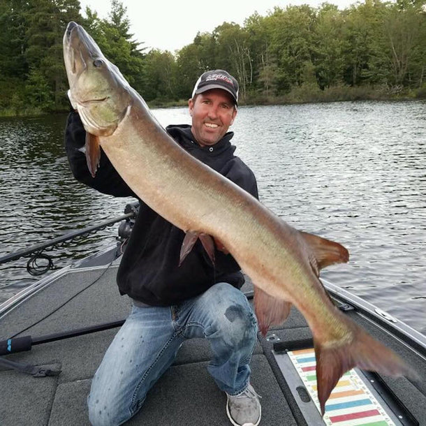 Musky Insider – Tips & Tactics for the Meanest Predator in Freshwater!